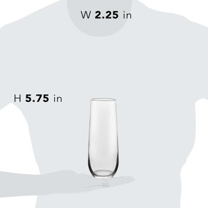 Libbey Stemless Champagne Flute Glasses, 9 Oz. (Set of 12) & Reviews | Wayfair